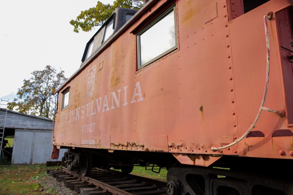 Sunset Christmas Tree Farm | Fresh Christmas Trees